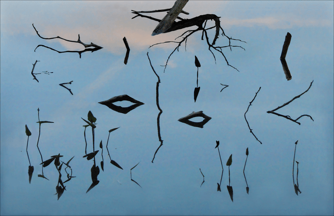 Seeing It: Photography and Commentary – The Key Point